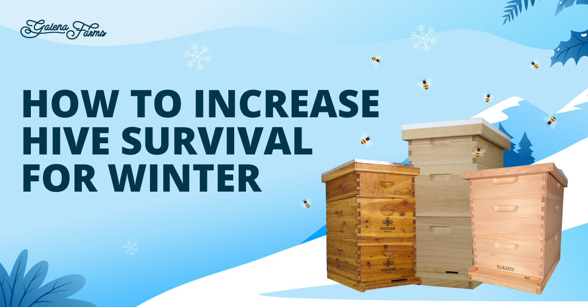 How to Increase Hive Survival Through Winter: Essential Strategies for – Galena Farms