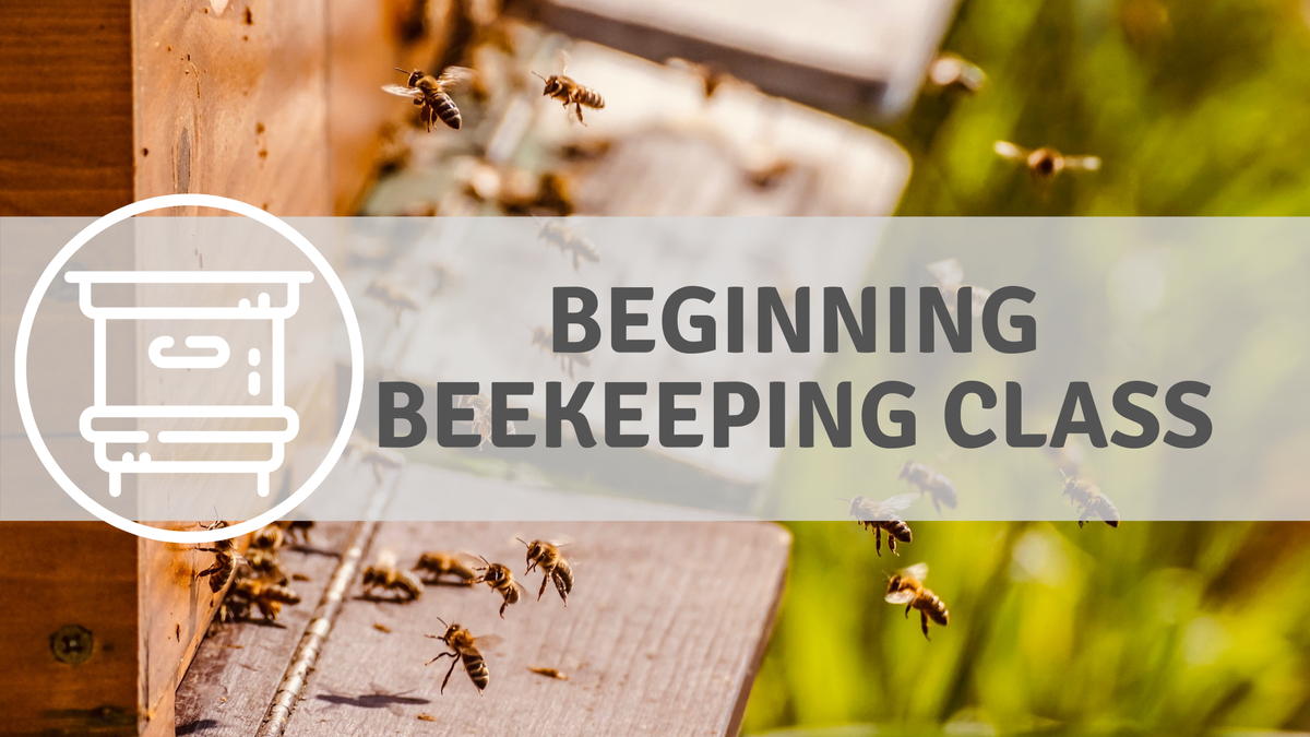 Virtual Class - Beginning Beekeeping – Galena Farms