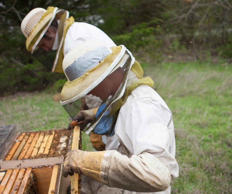 Virtual Class - Your First Months Beekeeping – Galena Farms