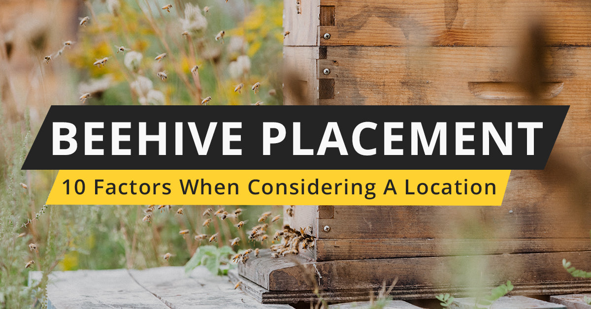 Top 10 Factors When Considering Where to Place Your Beehive – Galena Farms