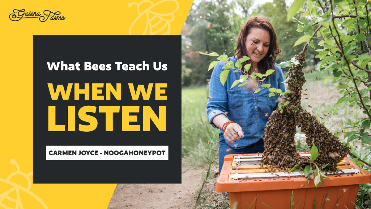 What Bees Teach Us When We Listen with Carmen Joyce - Nooga Honey Pot ...