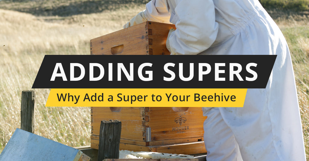 Why and How to Add a Super to Your Beehive – Galena Farms
