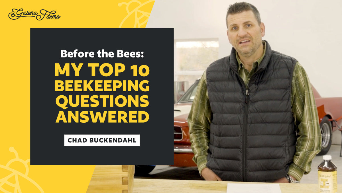 Before the Bees: My Top 10 Beekeeping Questions Answered – Galena Farms