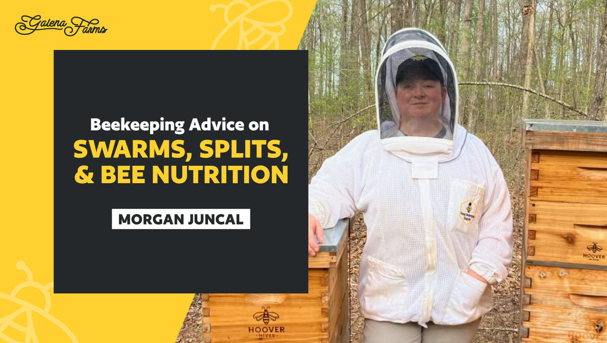 Swarms, Splits, & Bee Nutrition with Morgan Juncal - Woodbooger Hollow ...