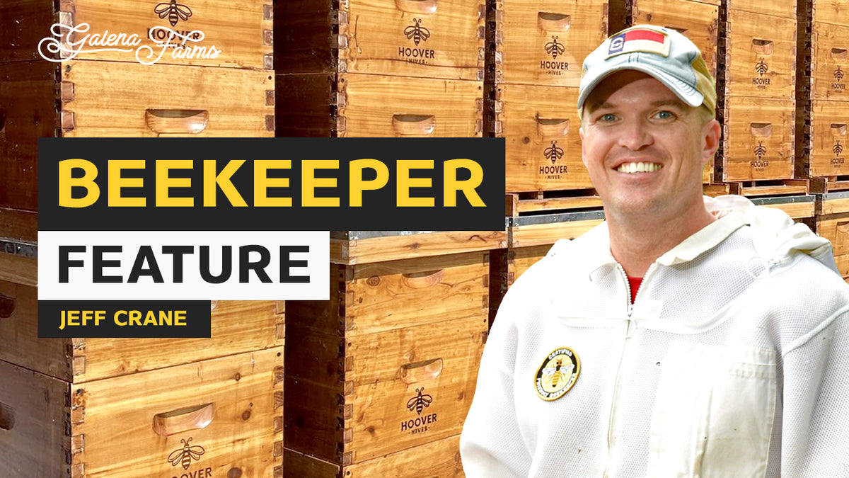 Marine to Beekeeper: Jeff Crane Shares his 15 Hive Journey & Essential ...