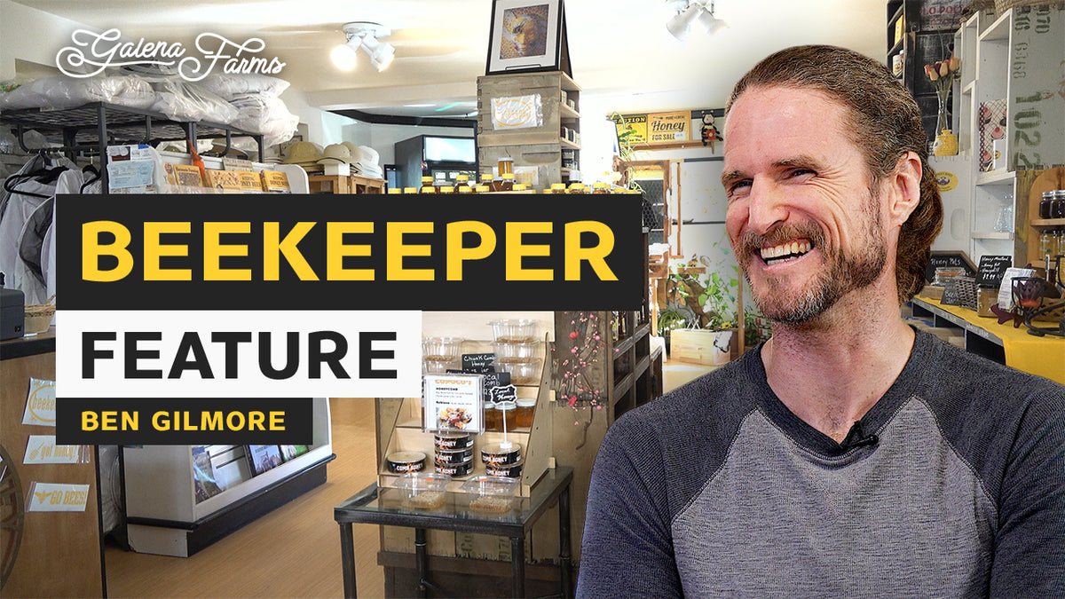 EP 2: The Business of Beekeeping with Ben Gilmore - Copoco's Honey & B ...