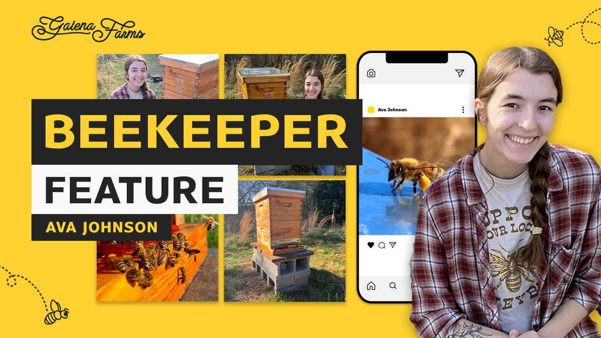 Novice Becomes Beekeeper: Ava Johnson's Fulfilling Journey into Beekee ...