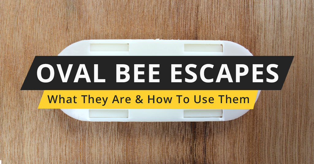 How Do I Use an Oval Bee Escape? – Galena Farms