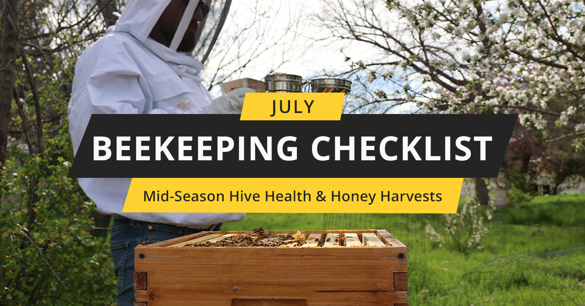 July Beekeeping Checklist: Mid-Season Hive Health and Honey Harvests ...