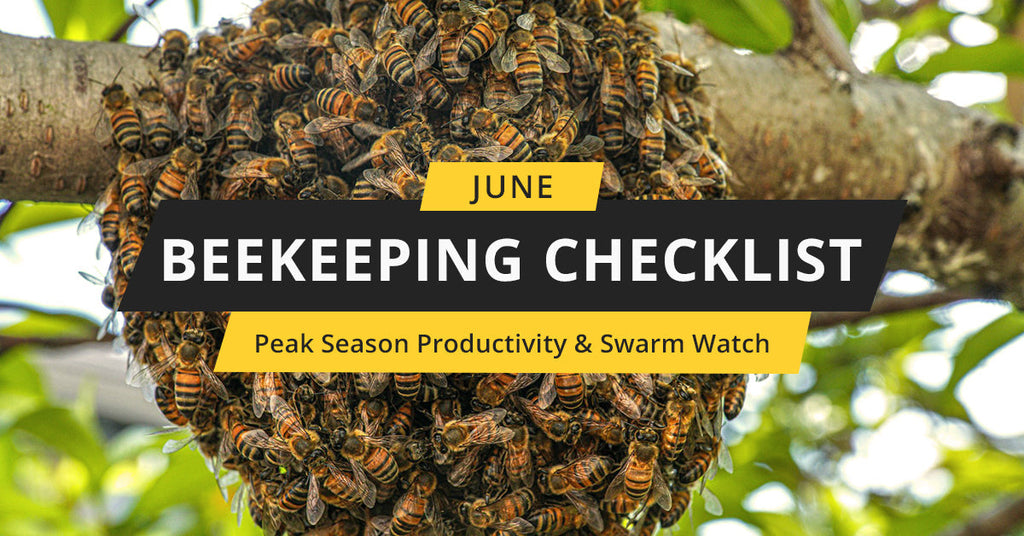 June Beekeeping Checklist: Peak Season Productivity & Swarm Watch ...