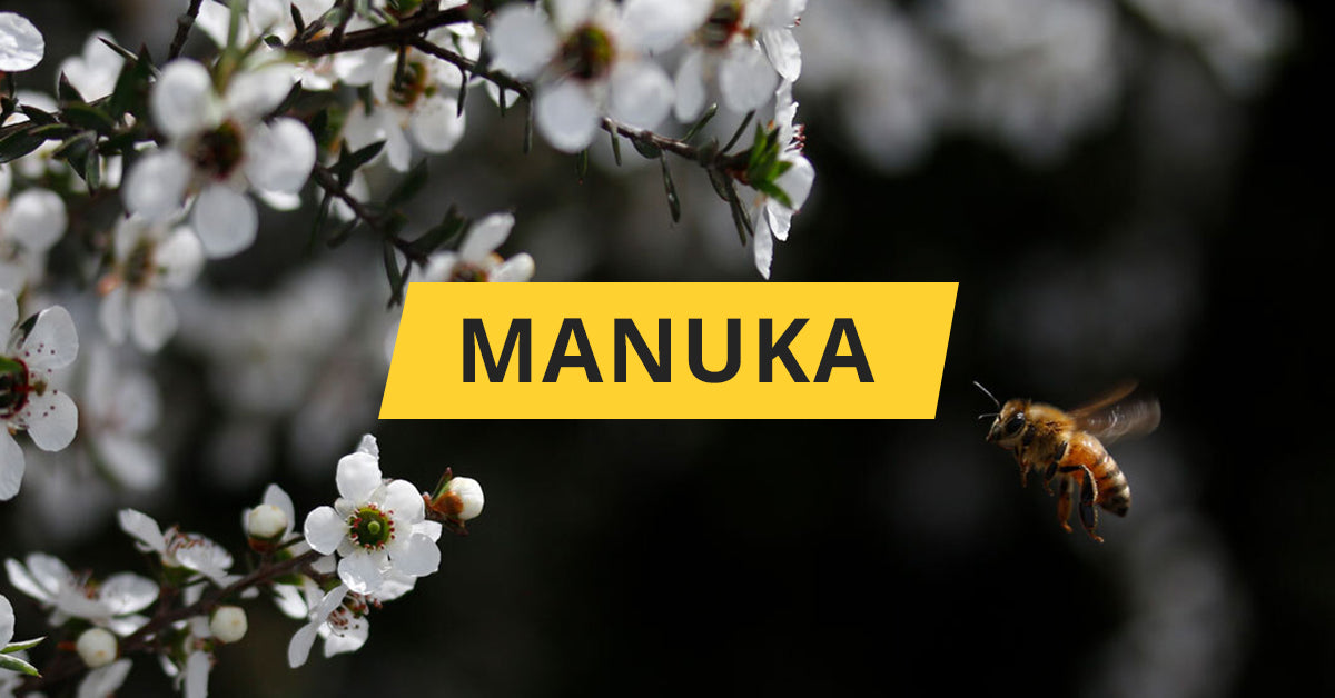 Manuka – Galena Farms
