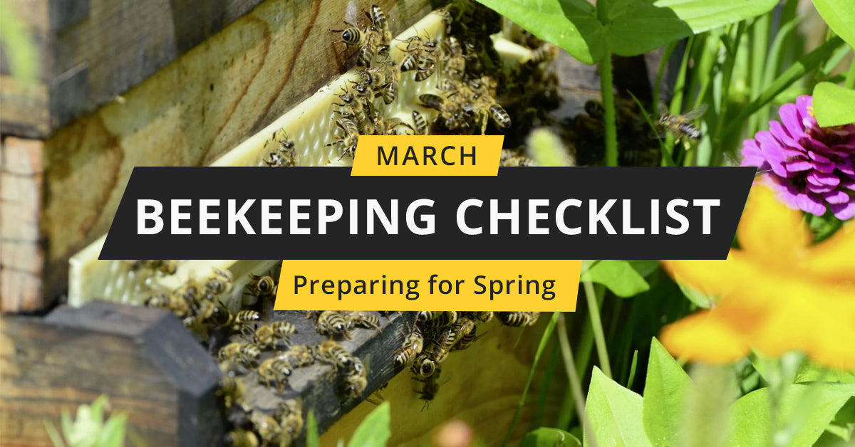 March Beekeeping Checklist: Preparing for Spring – Galena Farms