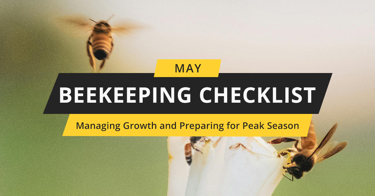 May Beekeeping Checklist: Managing Growth and Preparing for Peak Seaso ...
