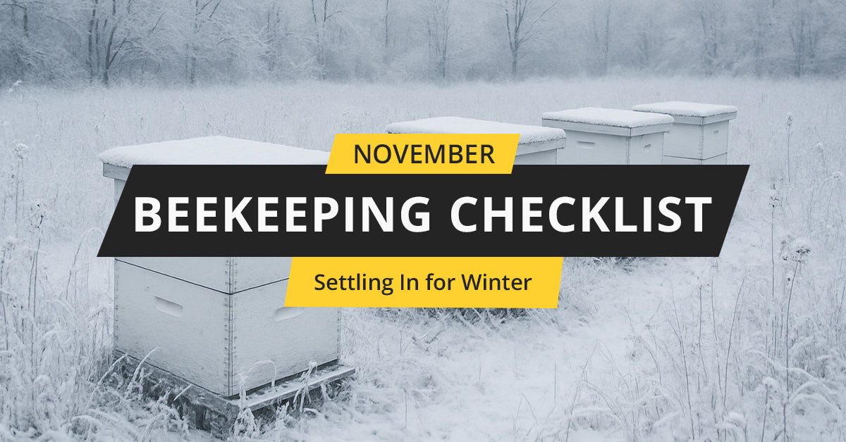 November Beekeeping Checklist: Settling In for Winter – Galena Farms