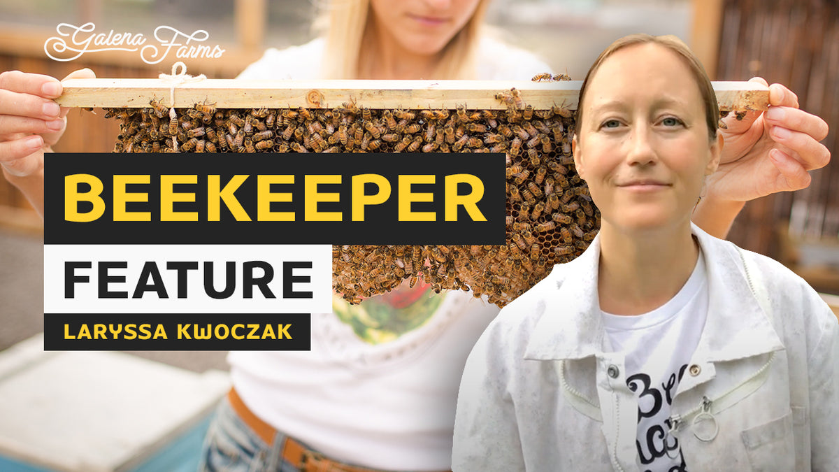 EP 1: From Bee Killer to Beekeeper Laryssa Kwoczak's Journey Beekeepin ...