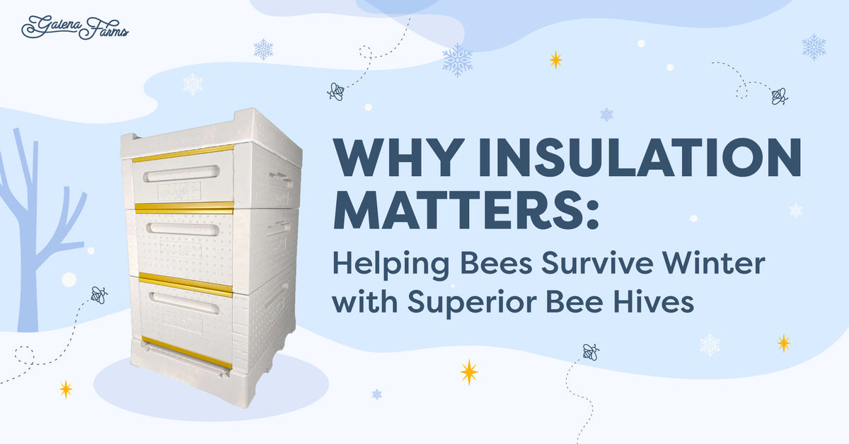 Why Insulation Matters: Helping Bees Survive Winter with Superior Bee ...