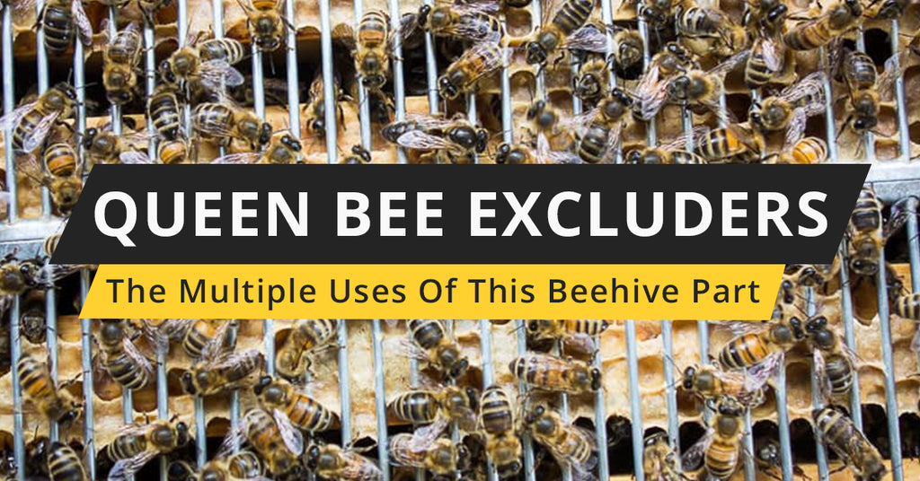 What Good Are Queen Excluders? - Galena Farms