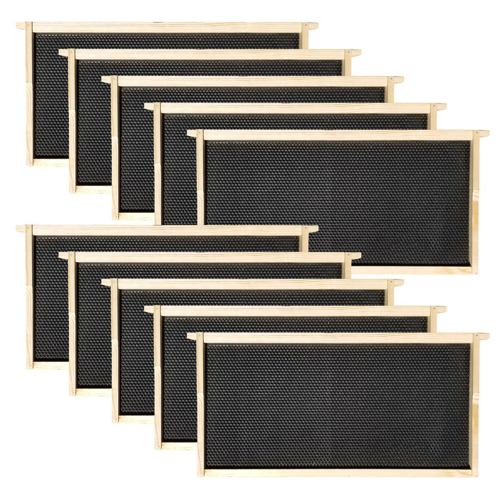 10-Frame Deep Brood Box – Assembled w/ Frames & Foundations, Amish-Made ...