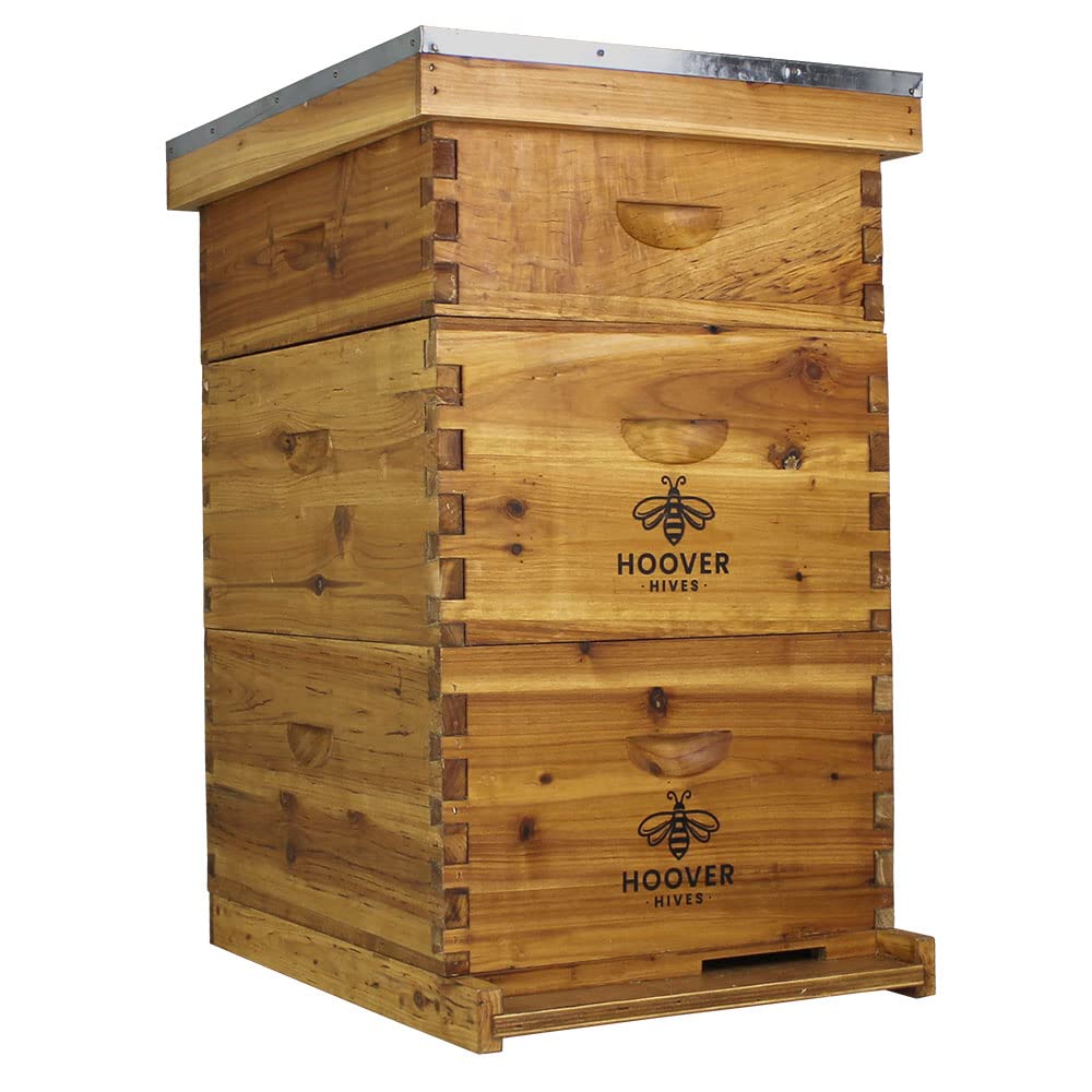 Hoover Hives Complete 10-Frame Beehive Kit – Double Wax Dipped ...